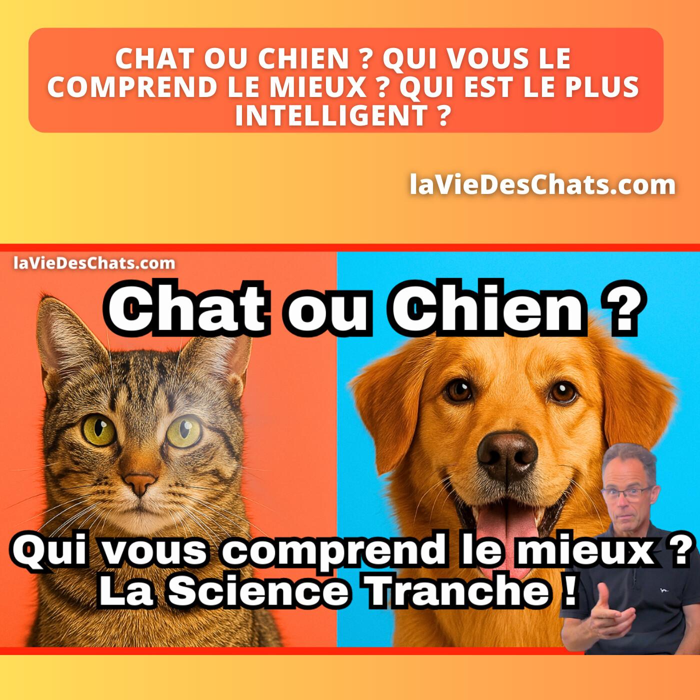 Chat ou chien : qui vous comprend le mieux ? Qui est le plus ...