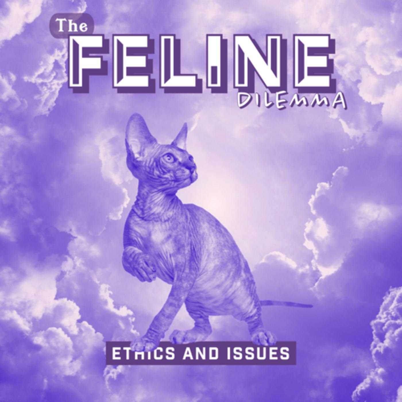 The Feline Dilemma: All About Feral Cats - Lazy Frog Podcast | Listen Notes