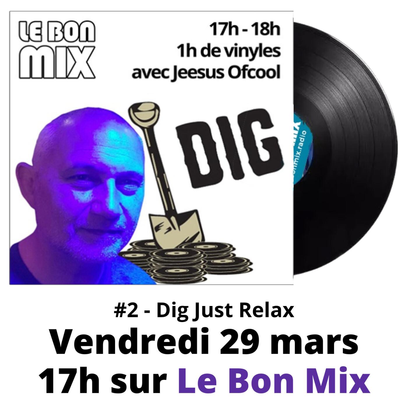 DIG - 03.05.2024 - Get yourself high - Le Bon Mix : replay des ...