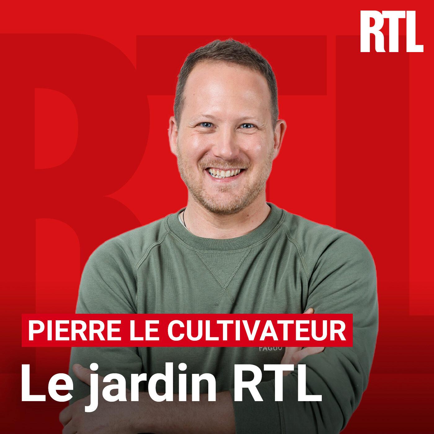 Comment préparer son potager pour l'automne ? - Le jardin RTL (podcast ...