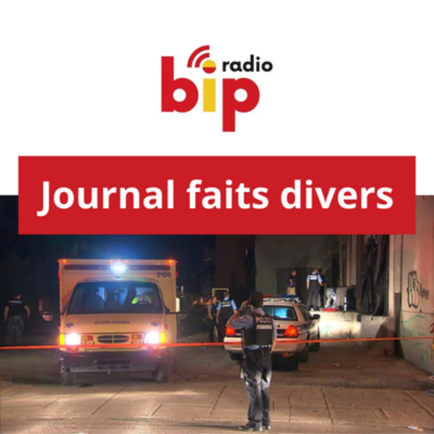 Faits divers Fon - 11 Mars 2024 - Le journal des faits divers - BIP ...