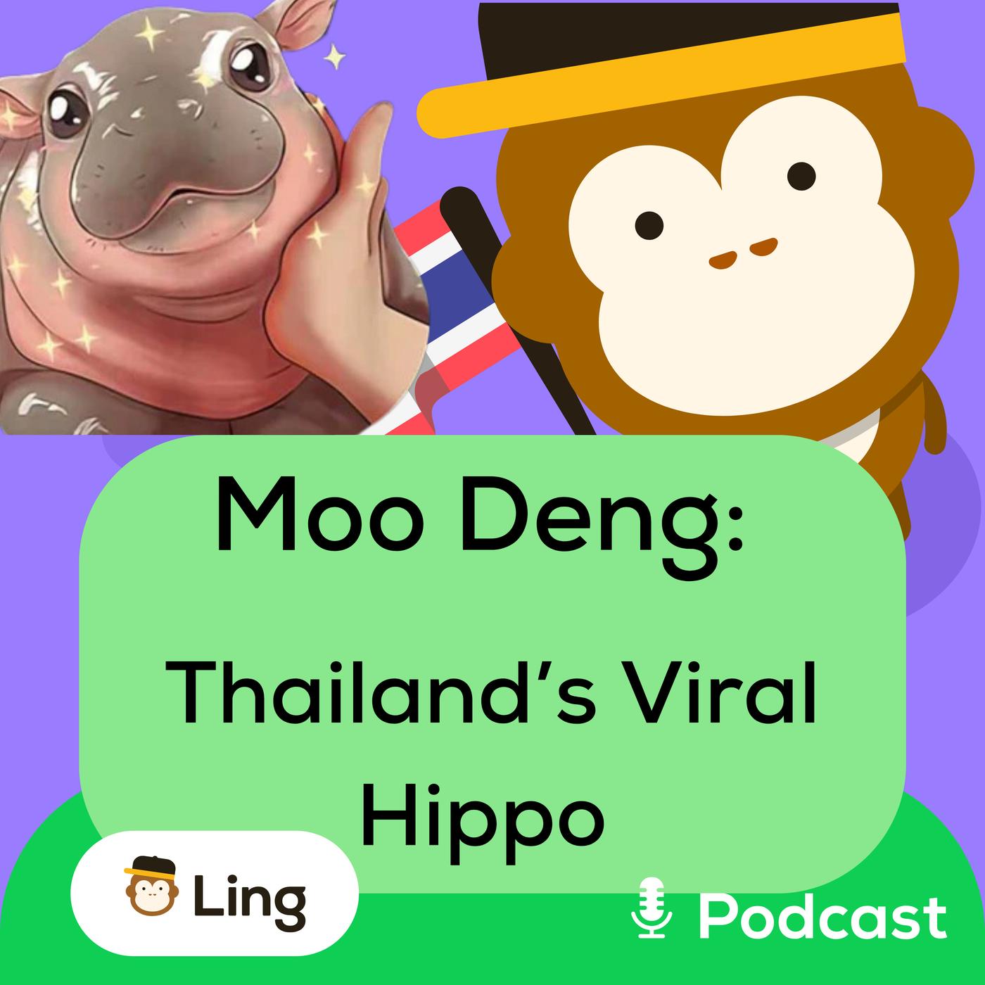 Lesson 61: Why do Thai people like to repeat a word twice? | Listen Notes