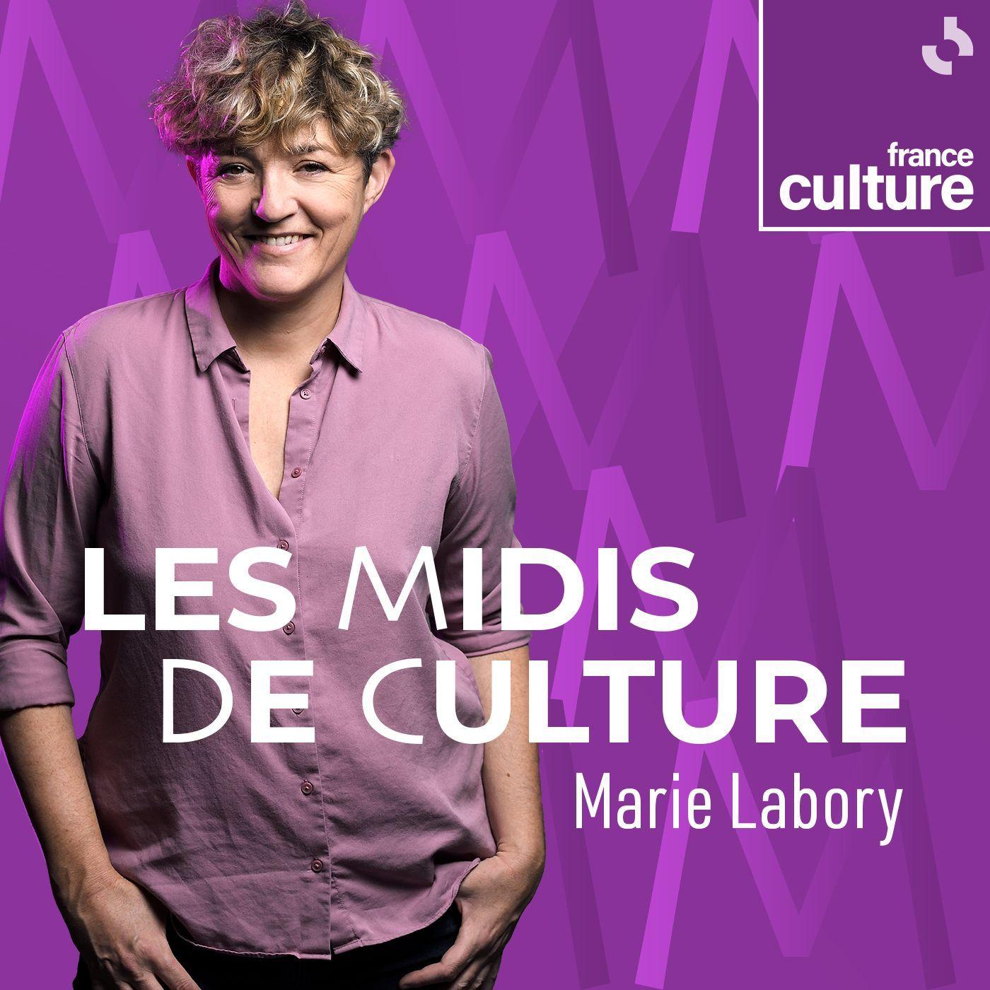 Marc Dugain dans les coulisses du pouvoir - Les Midis de Culture ...