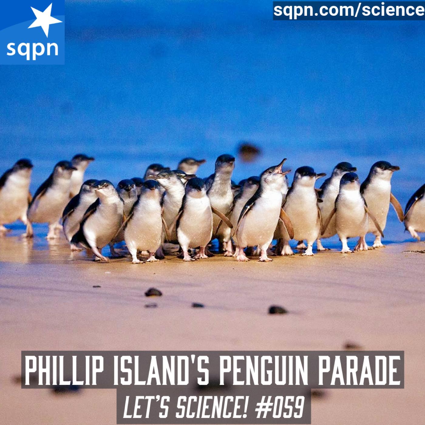 AlphaGo vs. the Champions - Let's Science (podcast) | Listen Notes