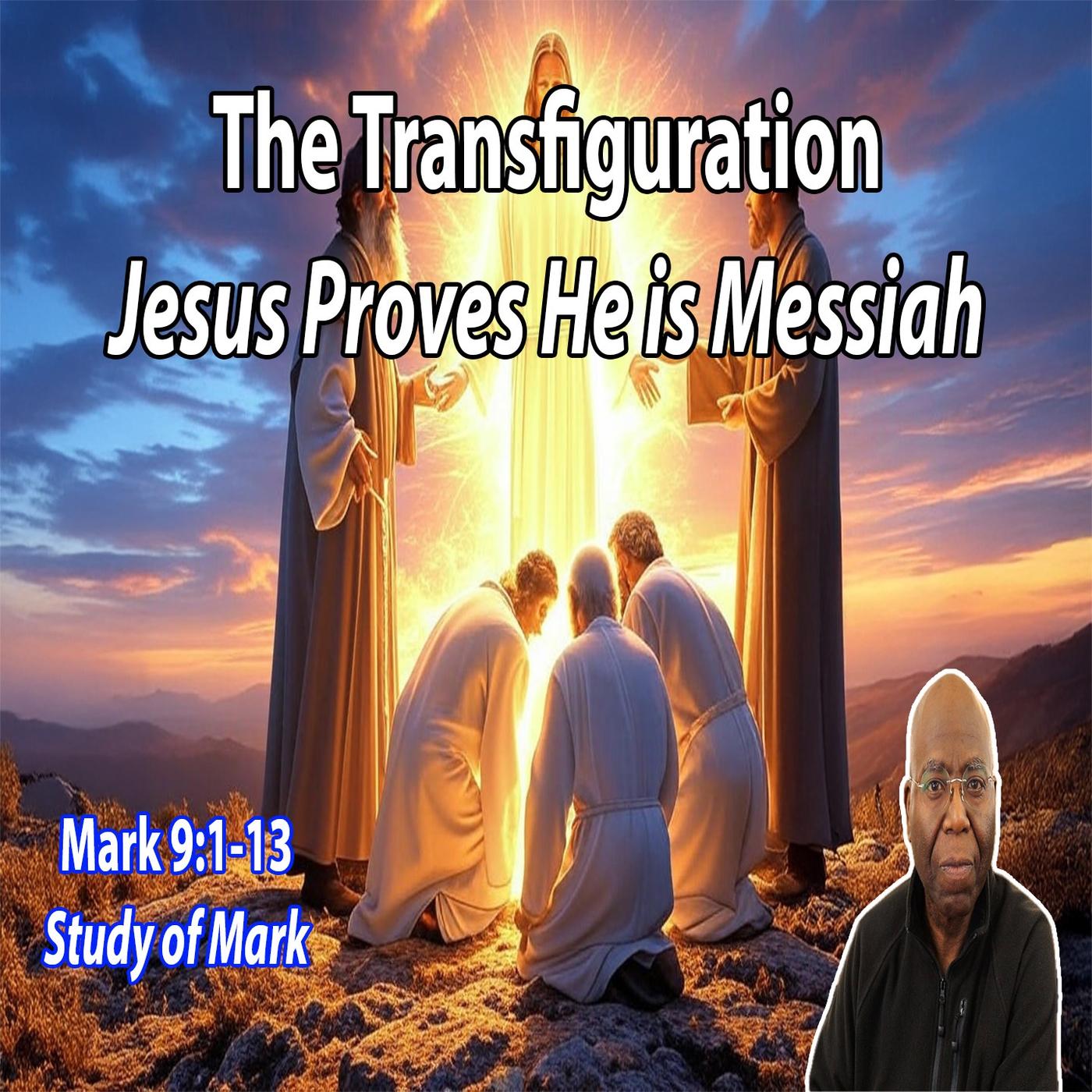 Parable of the Vineyard (Mark 11:27-12:12) - Let's Talk Scripture ...
