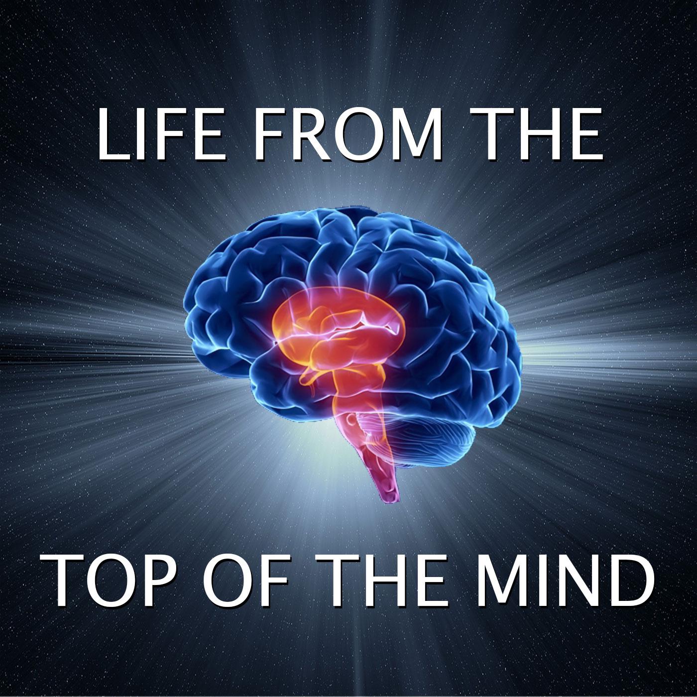 The Neuroscience of Influence - Life from the Top of the Mind (podcast ...