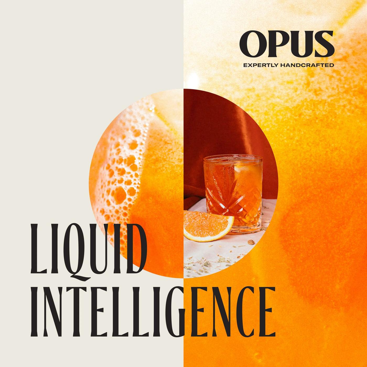 #3 - Liquid Intelligence - Marcos Salazar - Liquid Intelligence ...