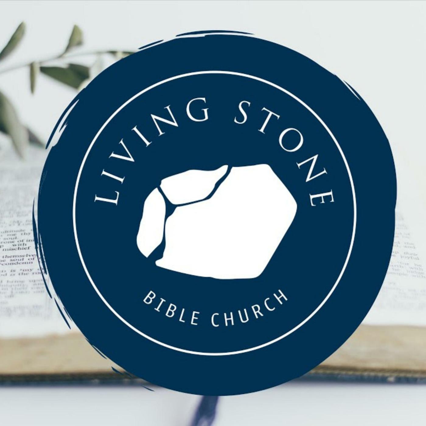 Finding Comfort Amid Chaos [Genesis 6:1–8] - Living Stone Bible Church ...