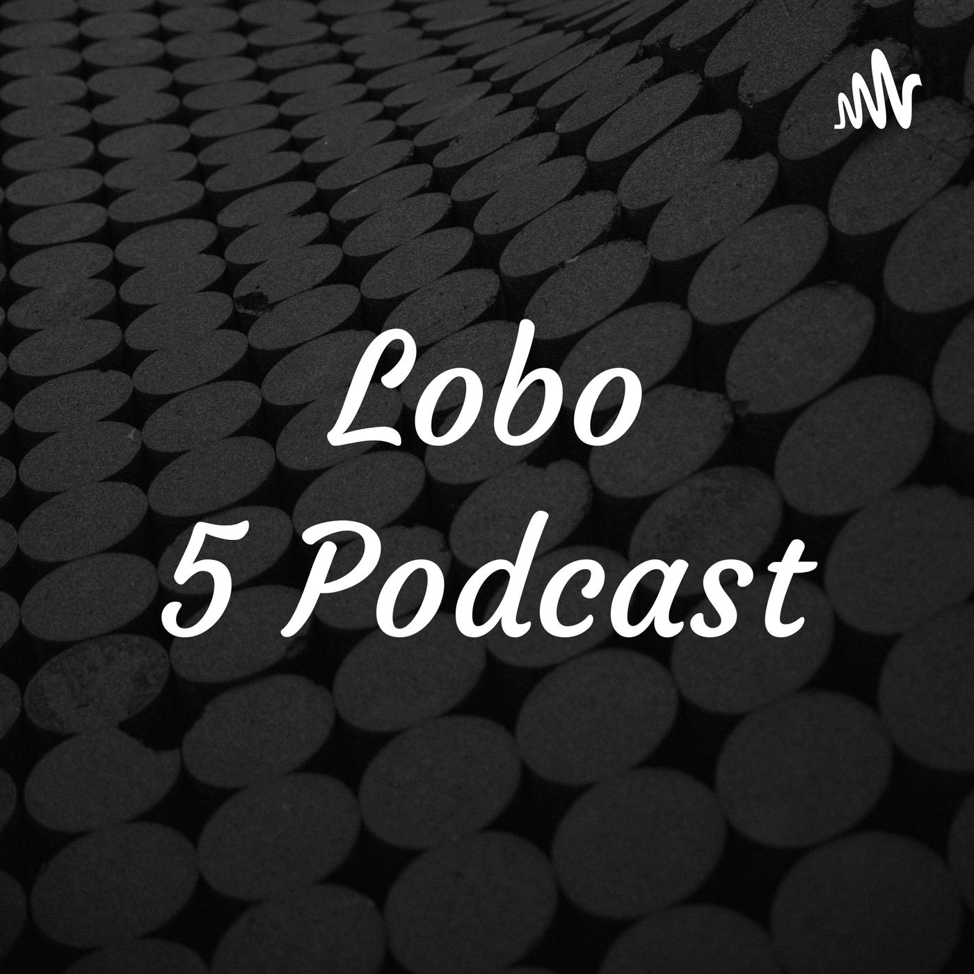 Teorías nuevas II: feminismo y perspectivismo - Lobo 5 Podcast | Listen ...