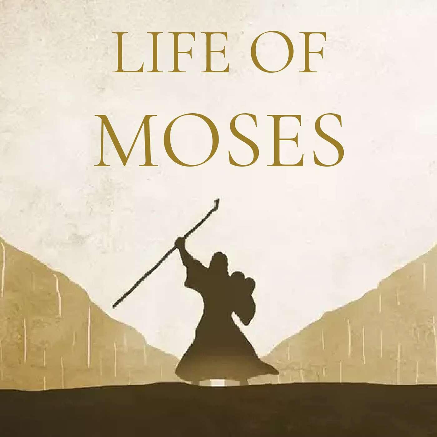 The Ten Plagues and The Glory of God - Life of Moses Part 19 | Listen Notes