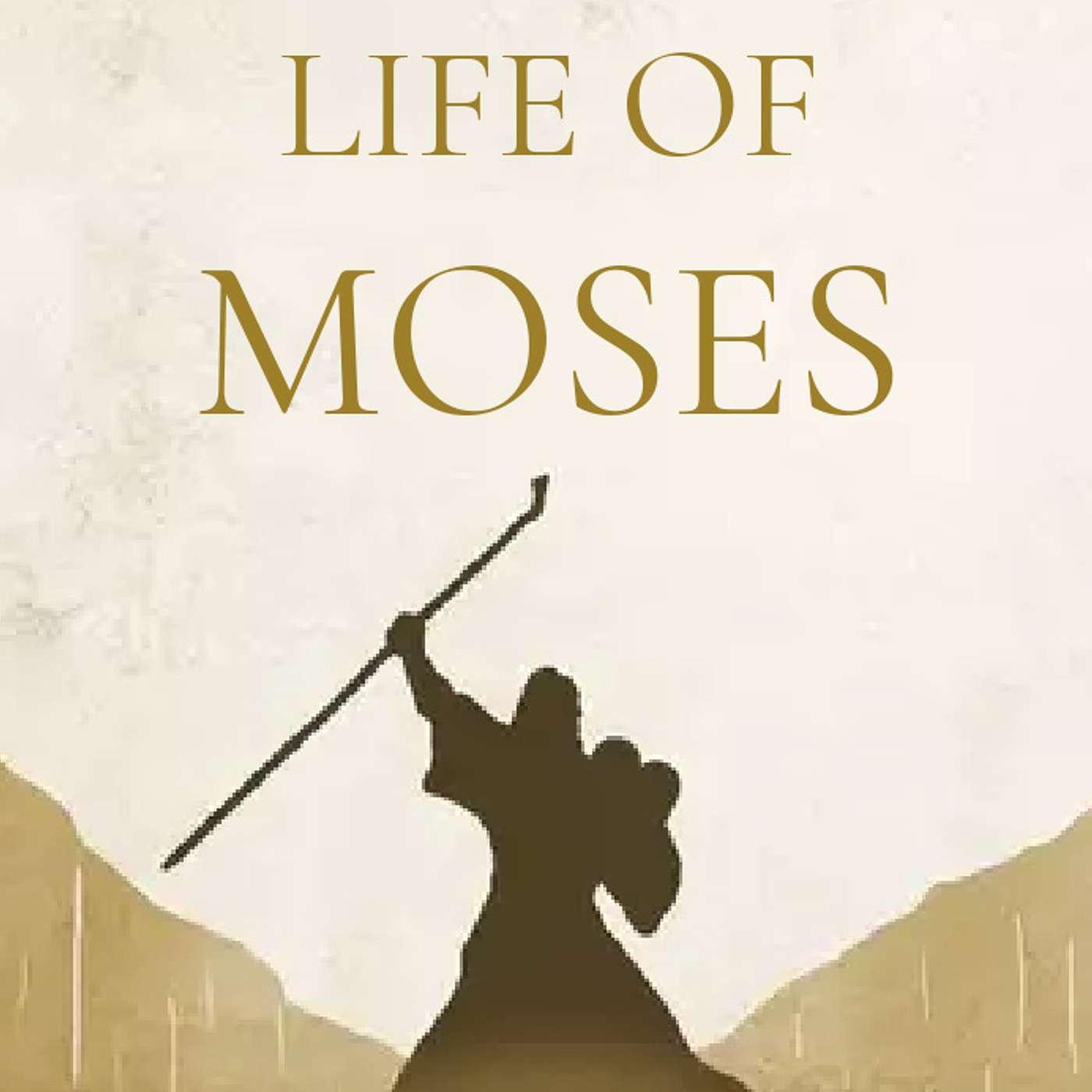 The Pharaoh of the Exodus - Life of Moses Part 8 - Lon Solomon ...