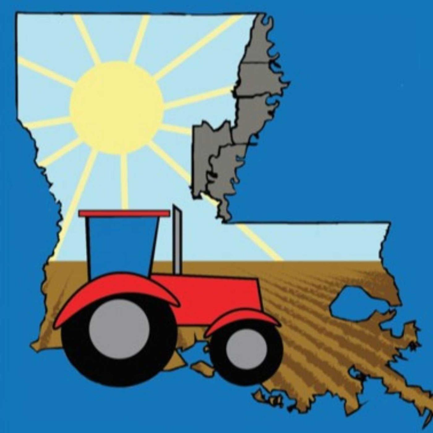 Dr. Wes Porter, University of Georgia - Louisiana Delta Crop Podcast ...
