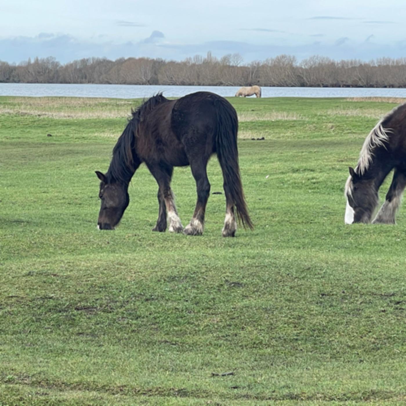 Circumcision Songs (Mulongo Aho!) - Luhya (Bukusu) Culture (Podcast ...
