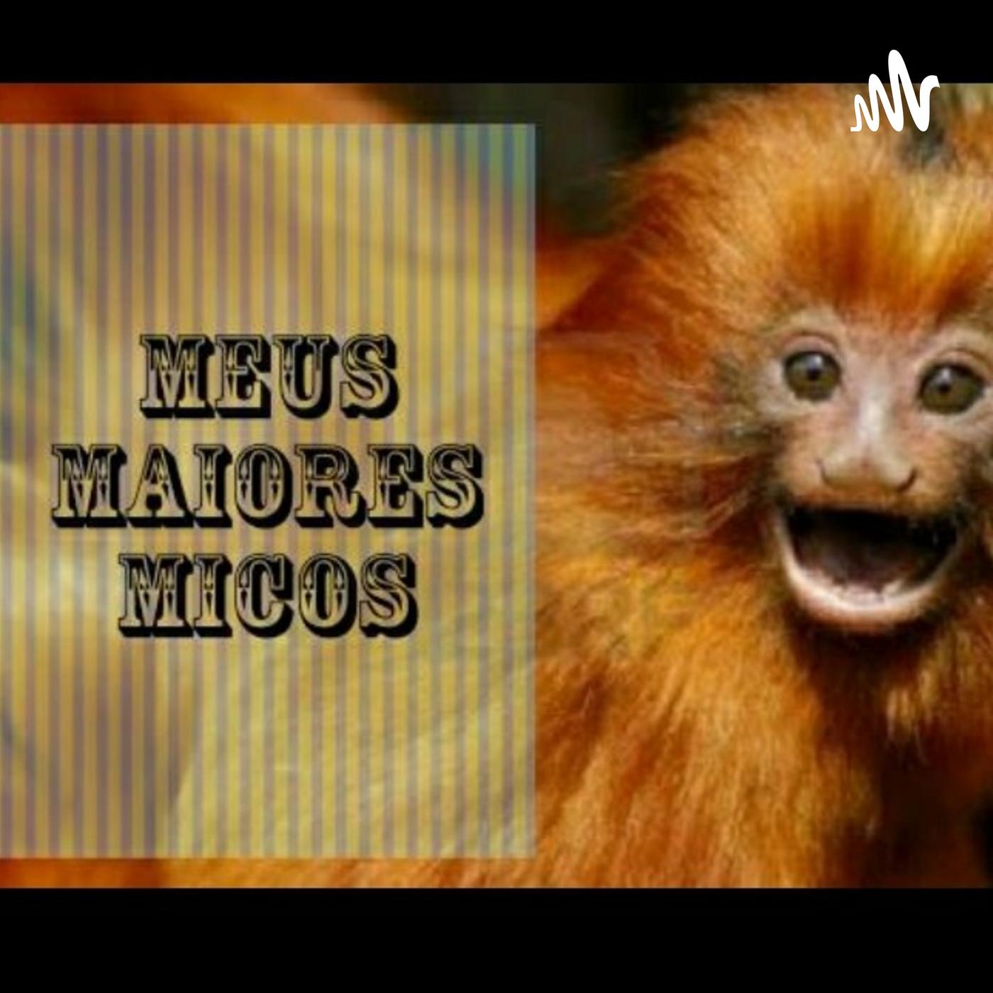 Maiores MICOS E VEXERAS (Podcast) - Jenni Davides | Listen Notes