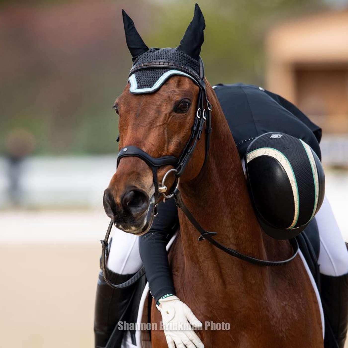 #67 Annie Goodwin Interview from the Dude Ranch to International Event ...
