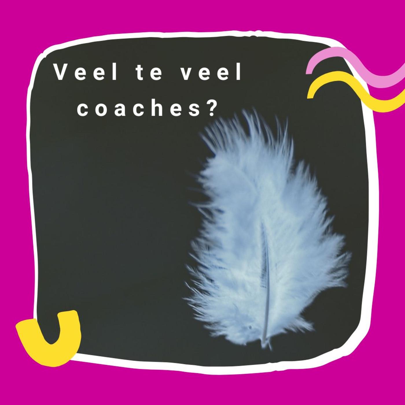 Start je je eigen zaak alleen of beter met een partner? | Listen Notes