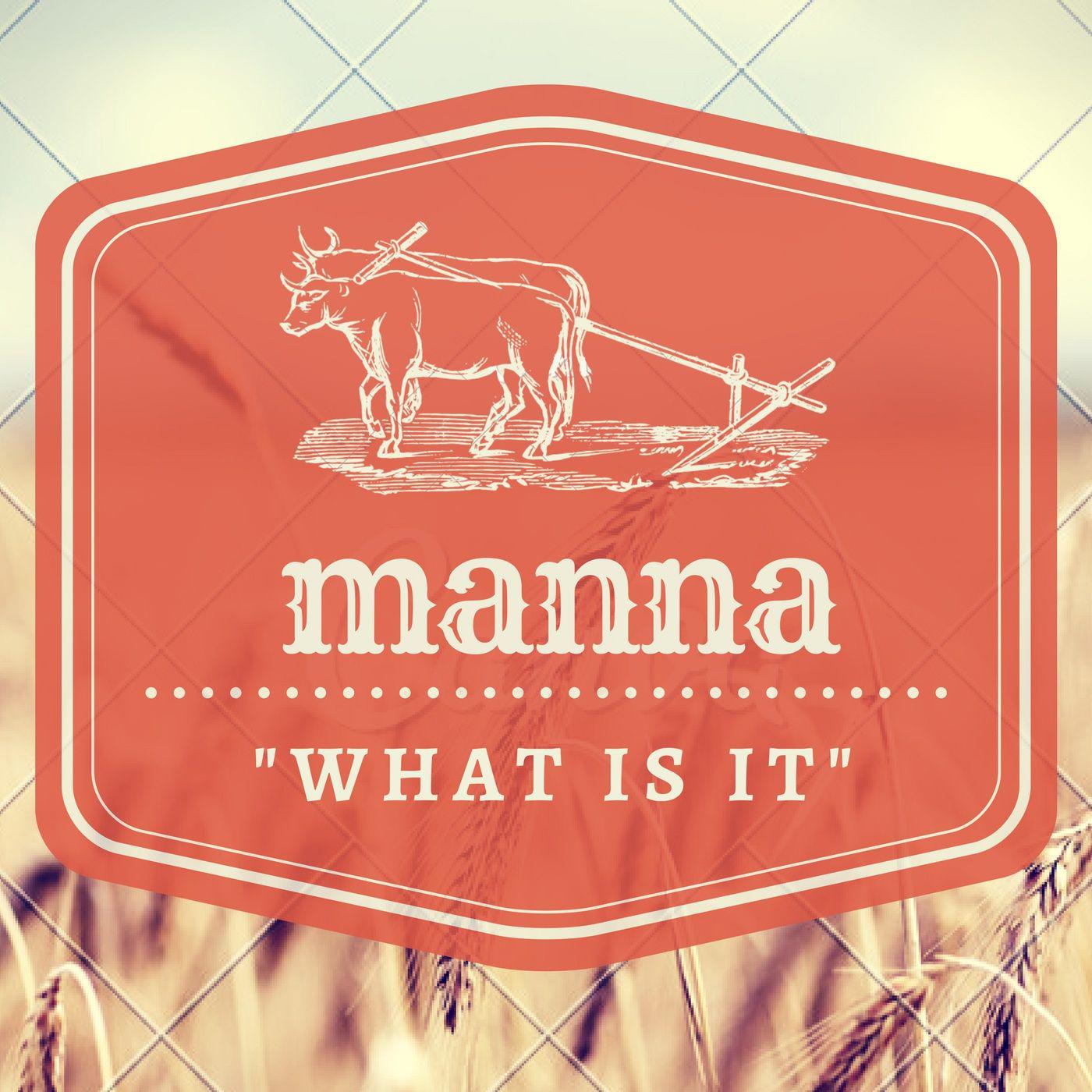 Manna - "What is it?" (Podcast) - Bobby Abraham | Listen Notes