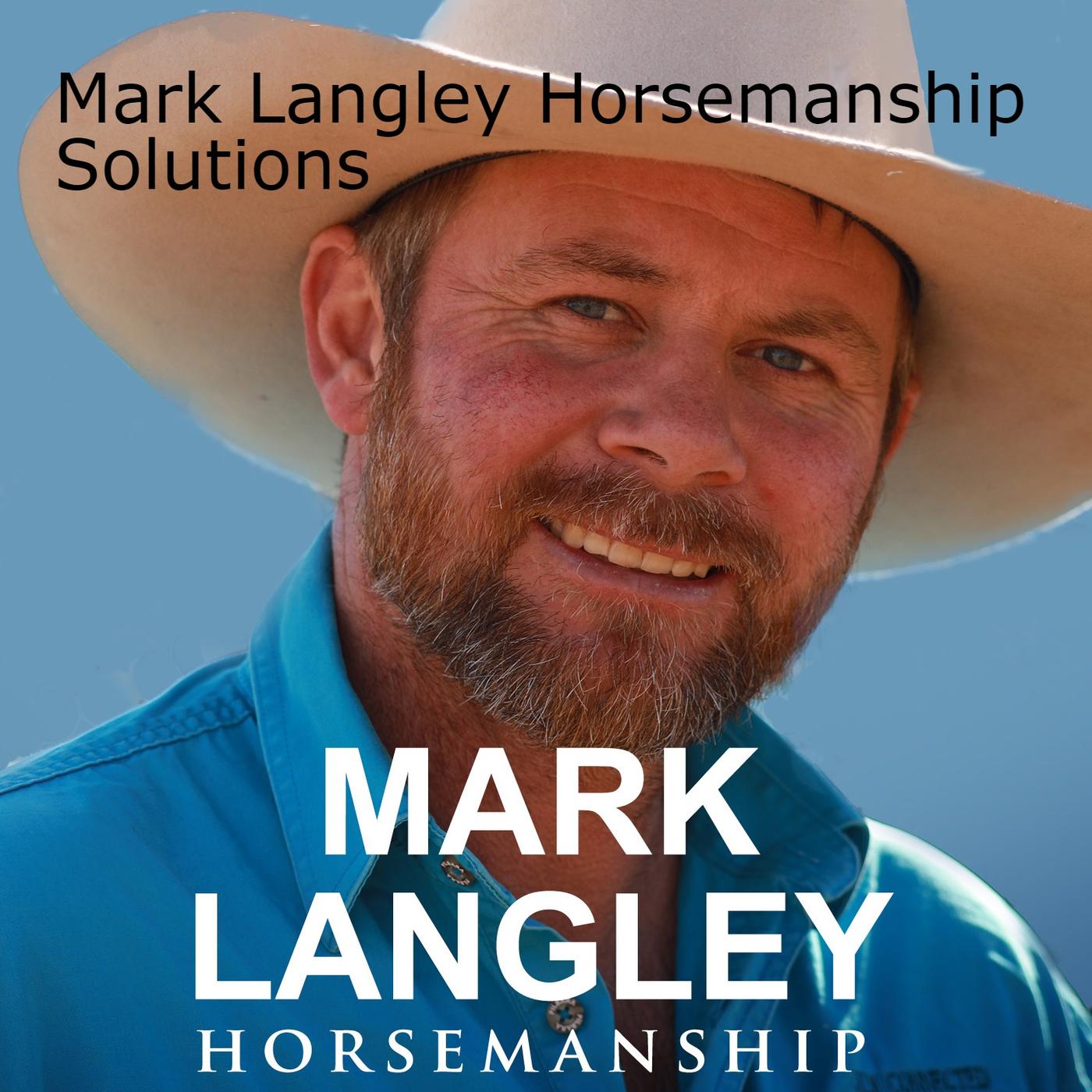 Help for a Horse that is on its last chance - Mark Langley Horsemanship ...