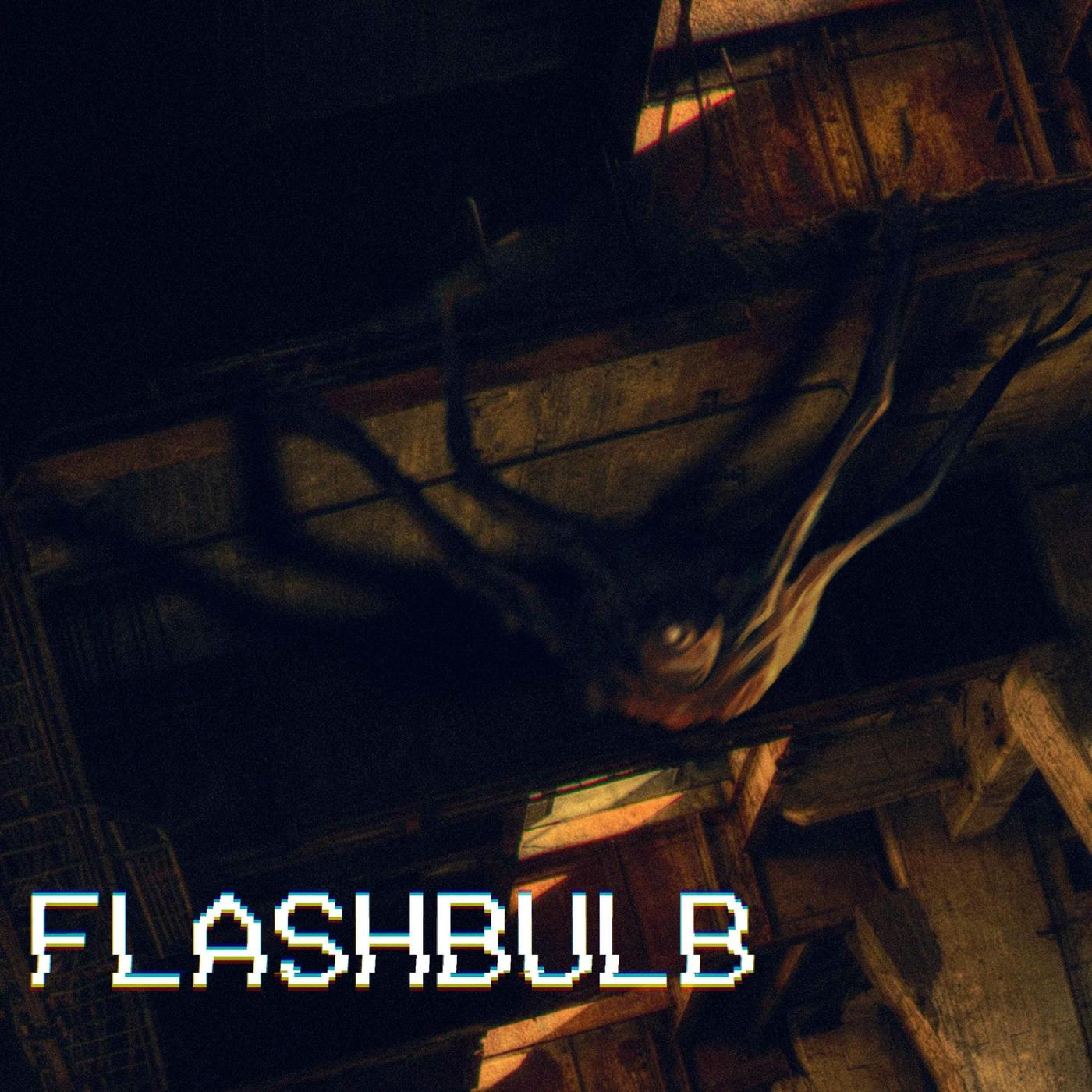 Flash Bulb - Mayfair Watchers Society (подкаст) | Listen Notes