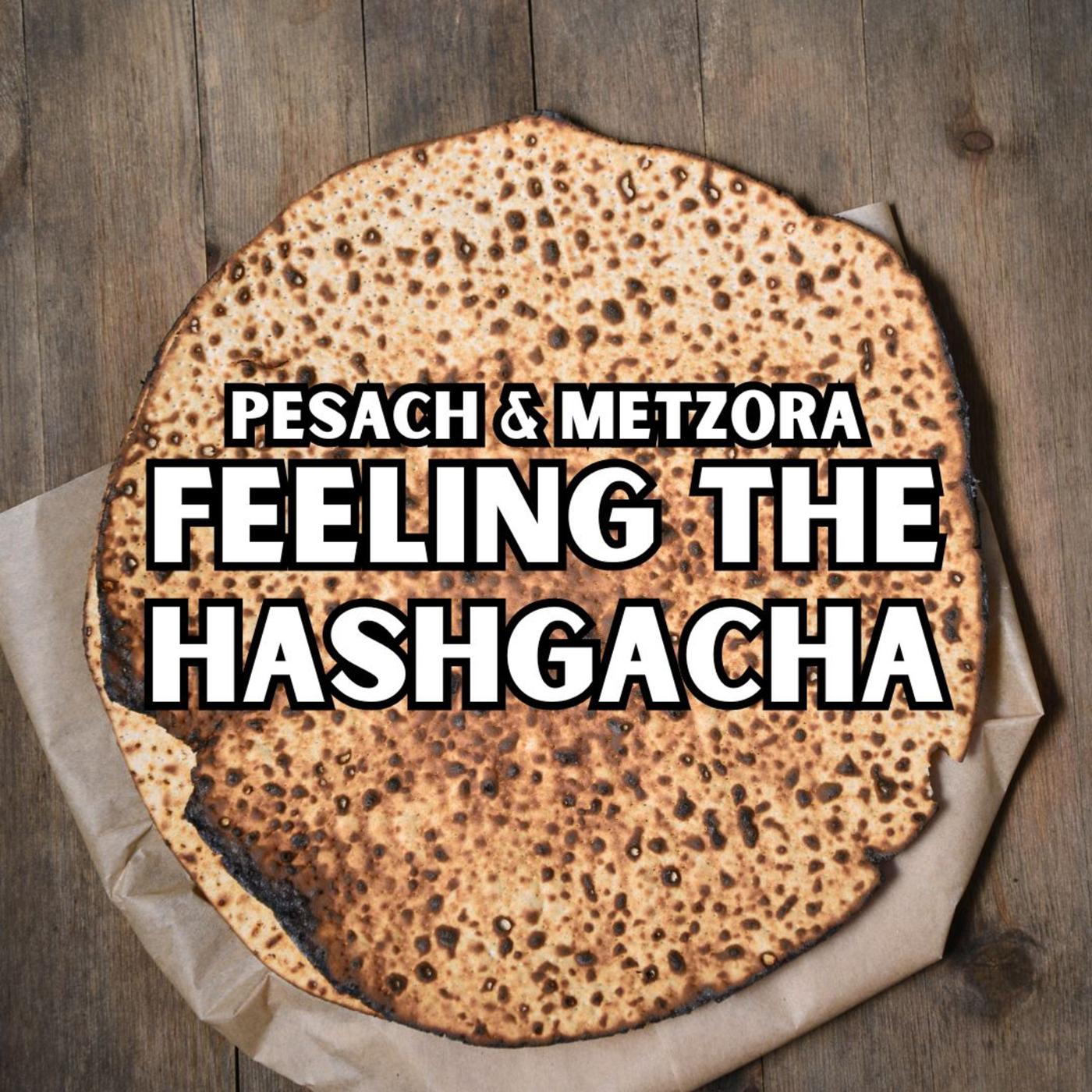 Pesach and Metzorah - Feeling the Hashgacha - Meaningful Ideas on the ...