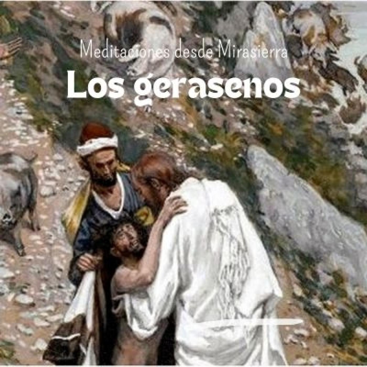 El camino cuaresmal - Meditaciones desde Mirasierra (podcast) | Listen ...