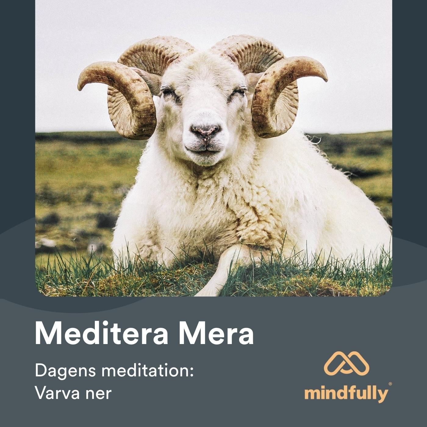 Paul Hurcomb - About meditation, love & wisdom - Meditera Mera - En ...