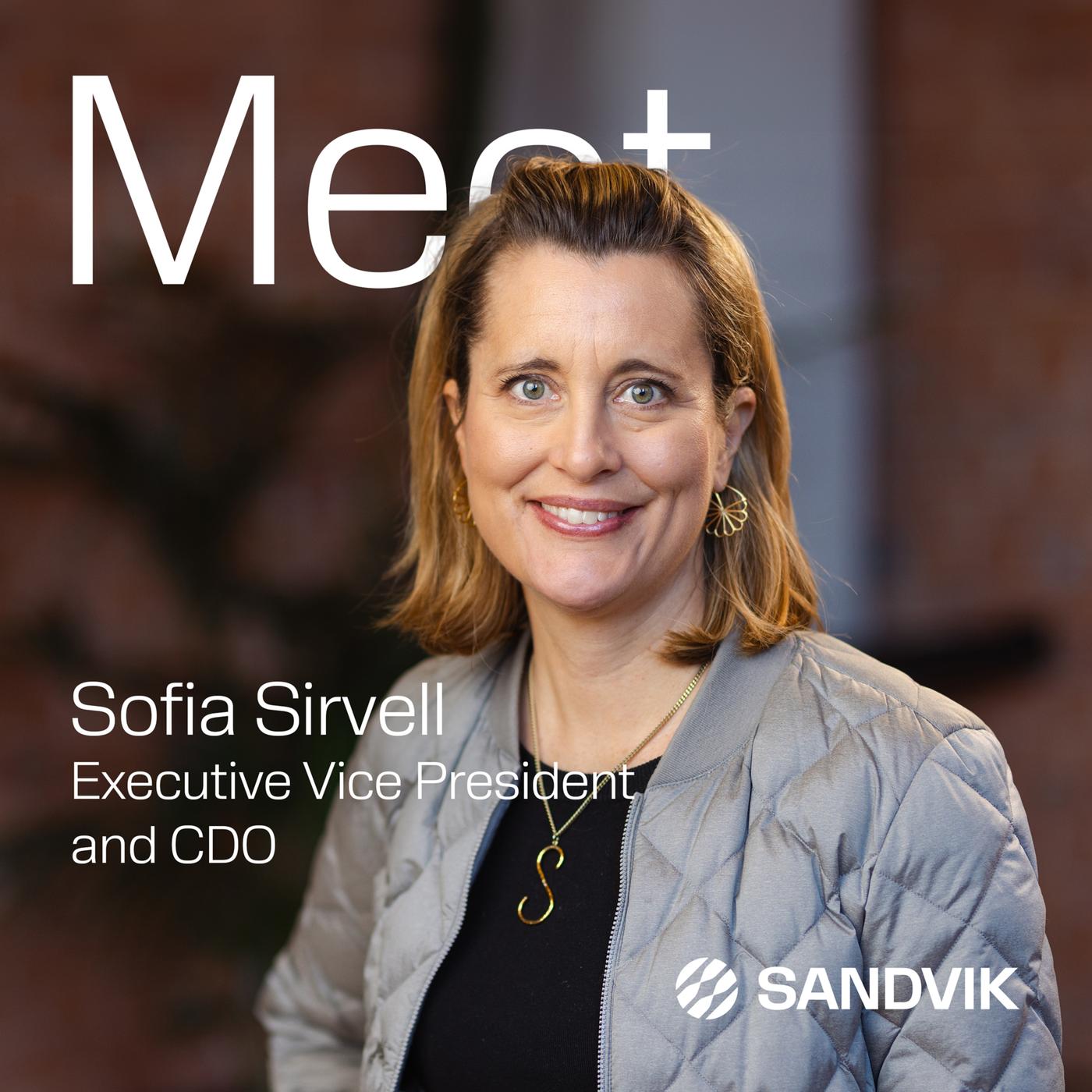 AI and navigating the digital odyssey - Meet Sandvik (podcast) | Listen ...