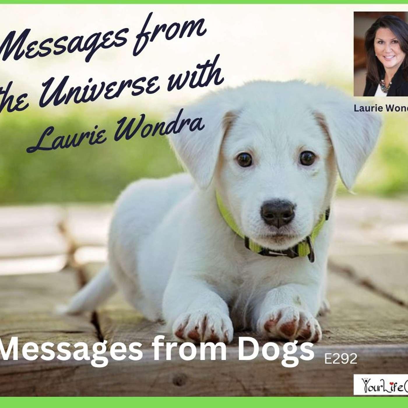 Messages from Mother Earth - Messages from the Universe with Laurie ...