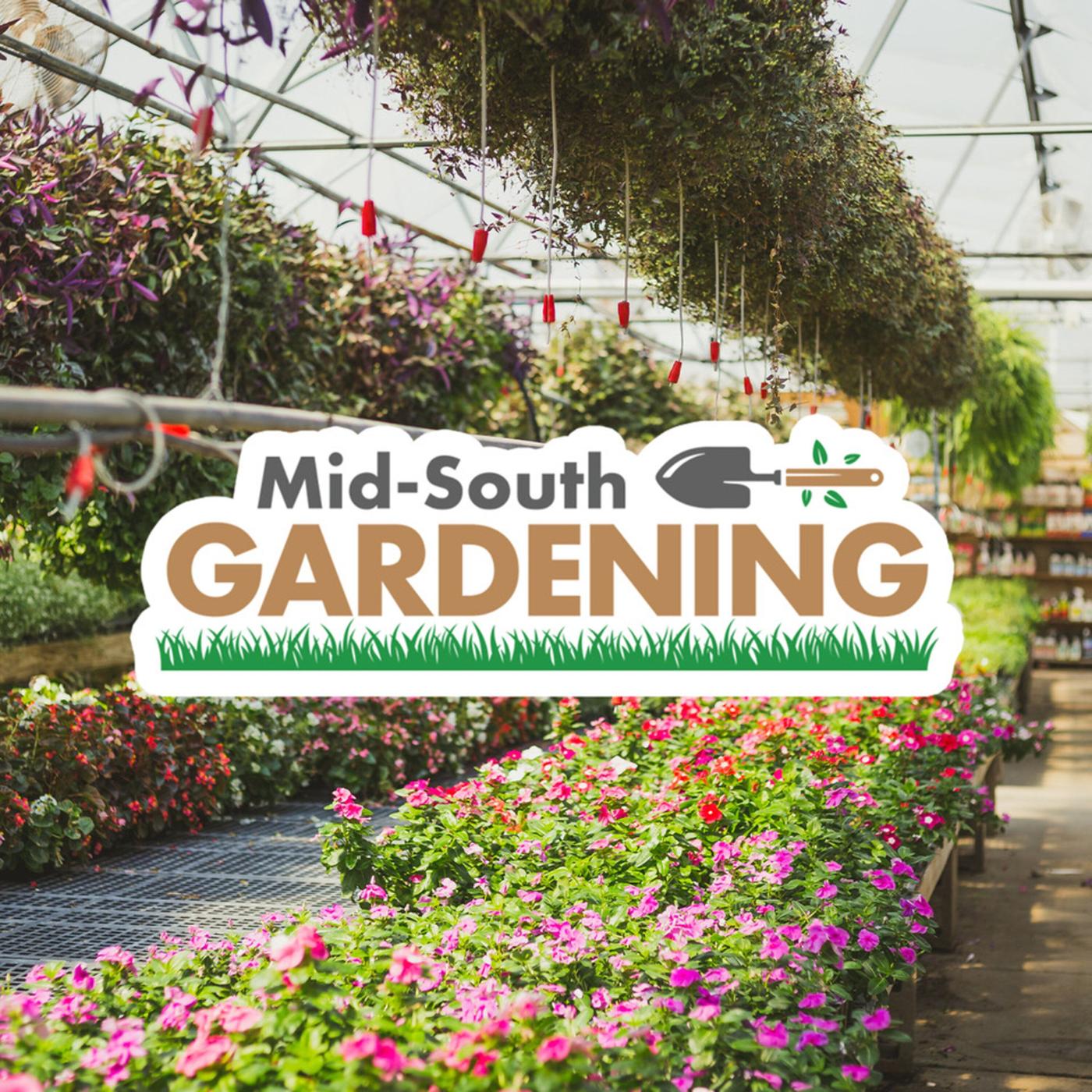 Discover How to Use Mulch to Maximize Your Gardening | Listen Notes
