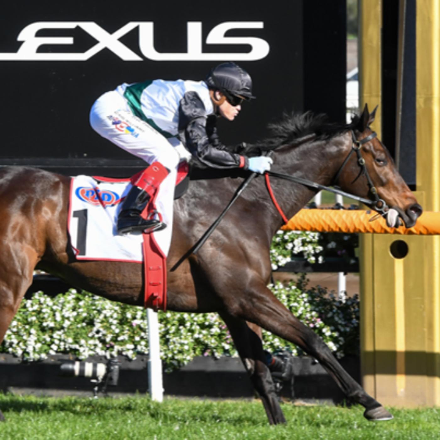 S2 E3 - Moonee Valley Preview 27/0124 - The Punting Monologue (podcast ...