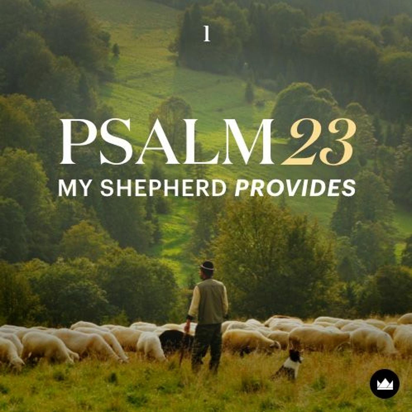 Psalm 23: My Shepherd Provides - Part 1 - Mission Community Church ...