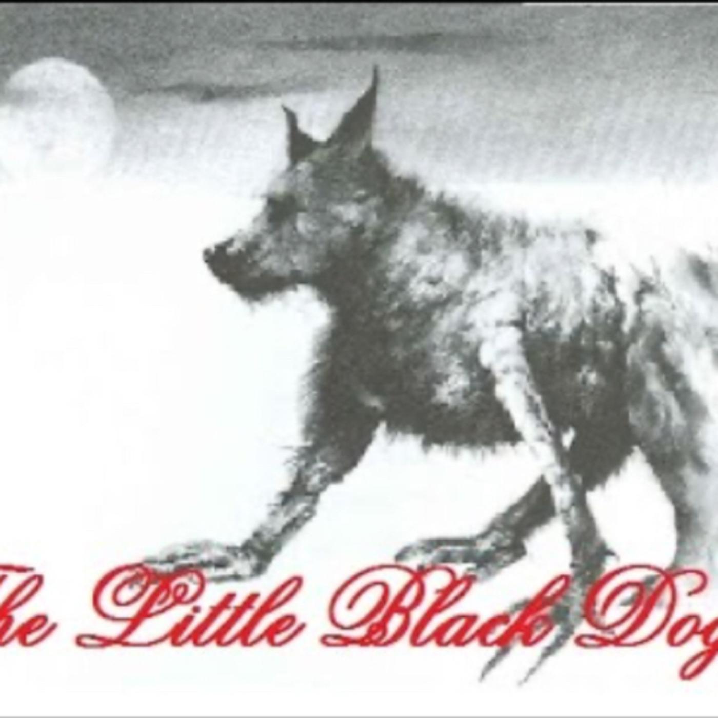 The Little Black Dog by Alvin Schwartz - More scary stories to read in ...