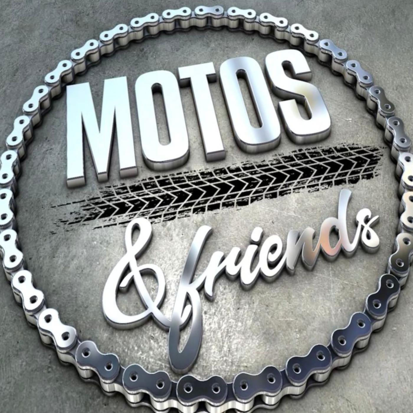 2024 Moto Guzzi Stelvio + Ray Hammons - Motos and Friends from Ultimate ...