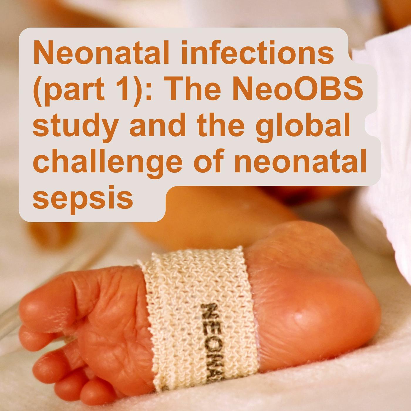 Neonatal infections (part 1): The NeoOBS study and the global challenge ...