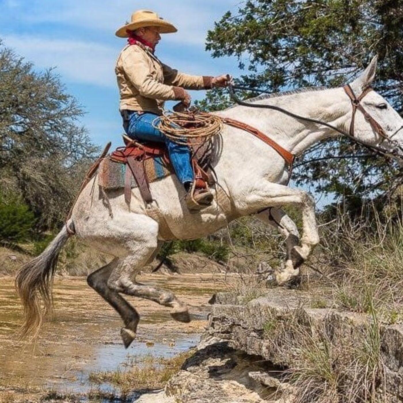 GARRISON MULEMANSHIP - MULE TALK! THE PODCAST ABOUT MULES, MULE ...
