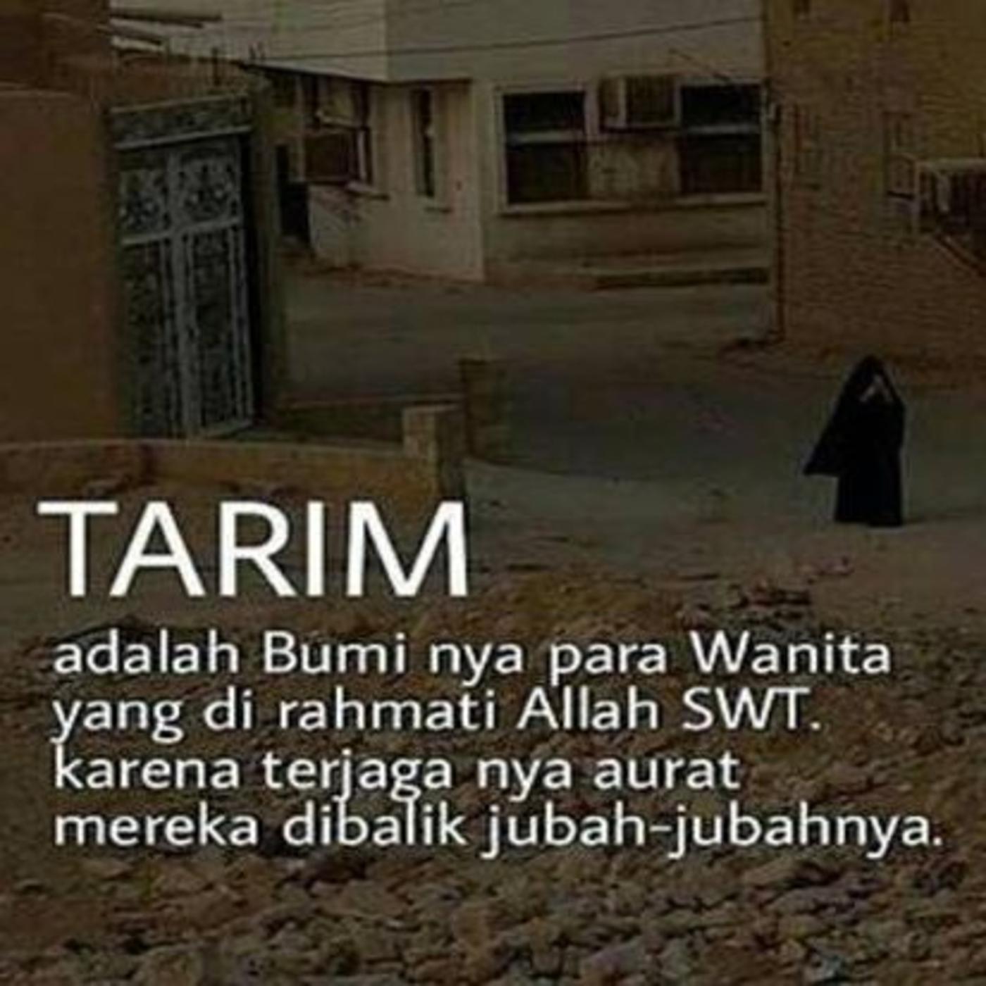 Meriam Lada Secupak simbol hubungan Turki Ustmani - Kesultanan Aceh ...