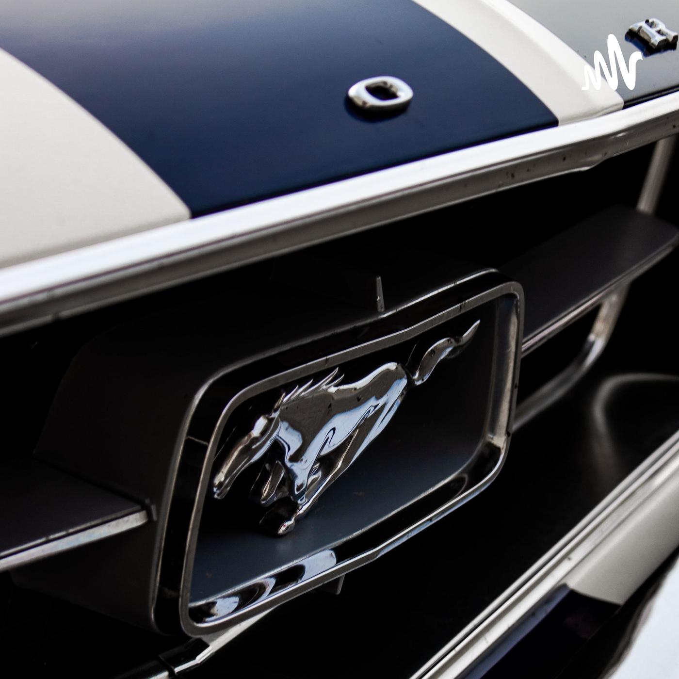 Amy Boylan – From Mattel to Shelby and Saleen: An Automotive Brand ...