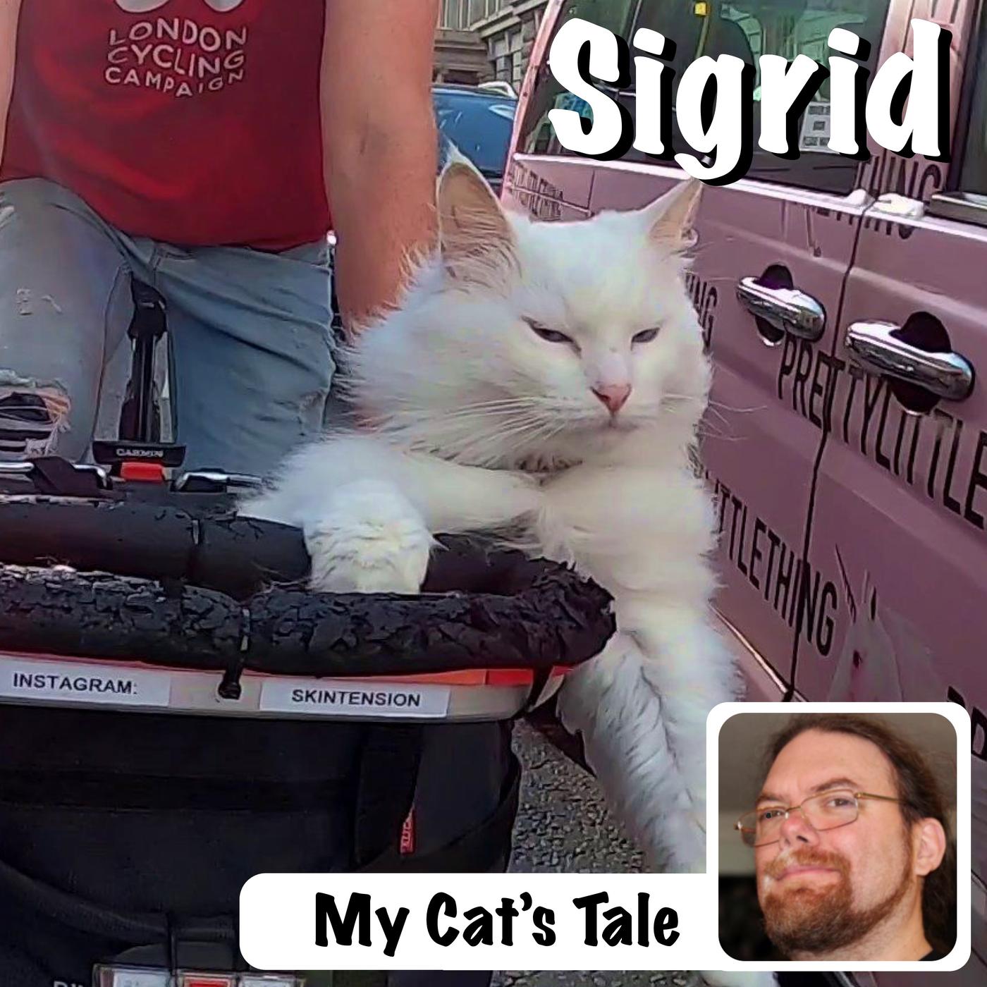 My Cat’s Tale – Clara and Storm - My Cat’s Tale (podcast) | Listen Notes