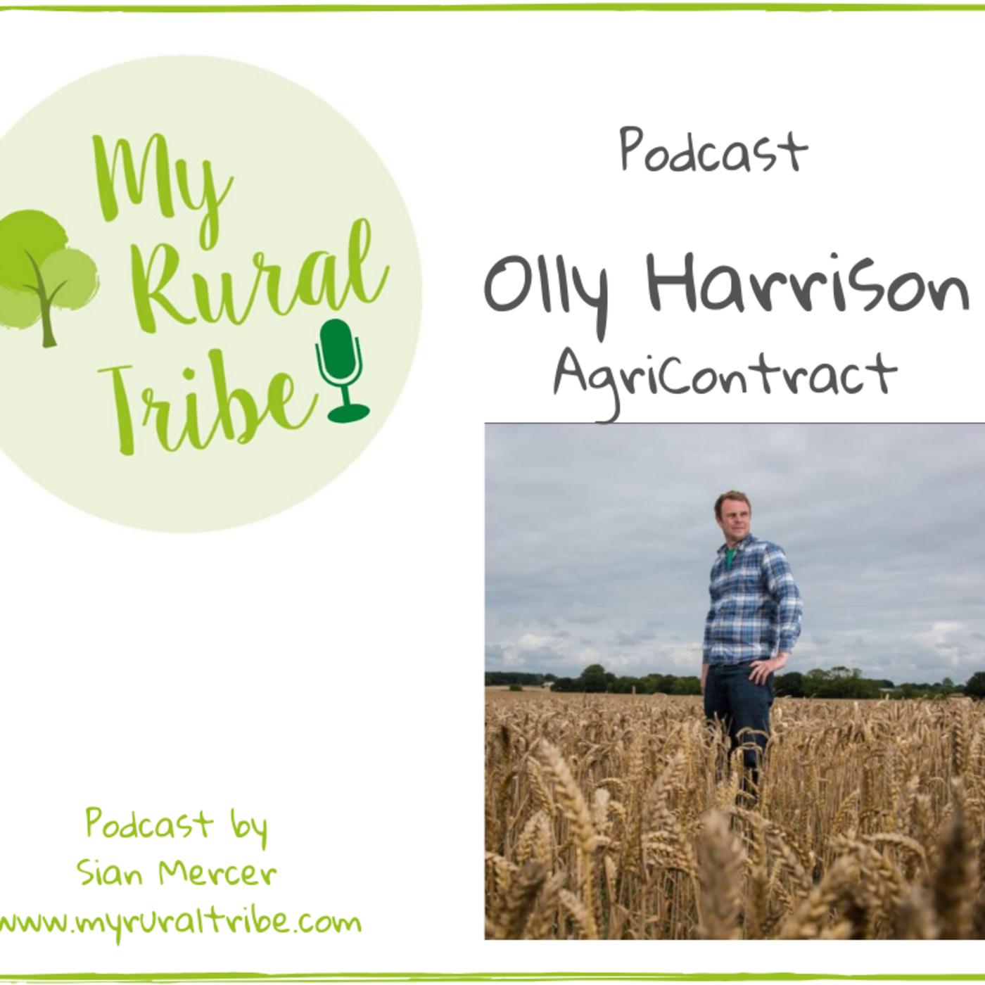 Episode 7 - Helen Owens - The Wernbach Shepherdess - My Rural Tribe ...