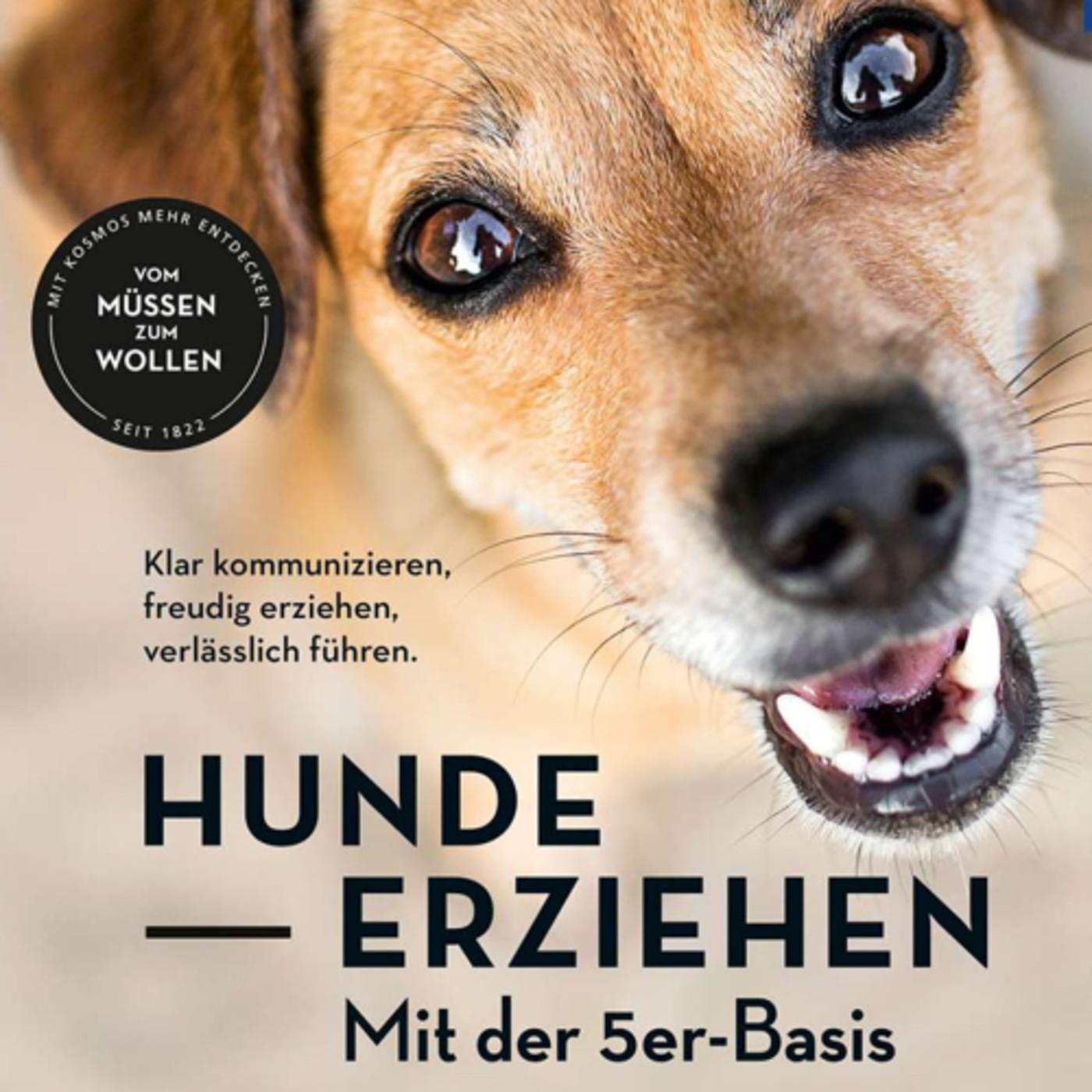 Wann soll ich das machen? - Nancy & Kai | Fragen und Antworten zur ...