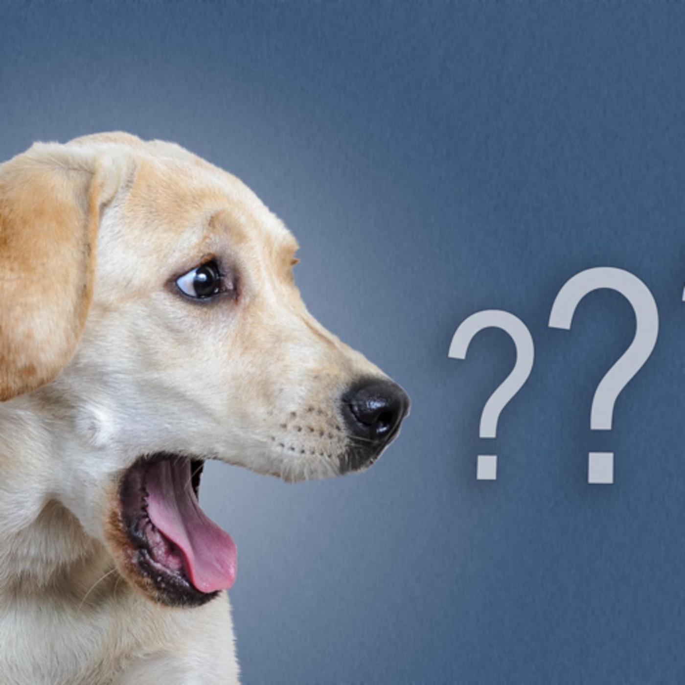 Wann soll ich das machen? - Nancy & Kai | Fragen und Antworten zur ...