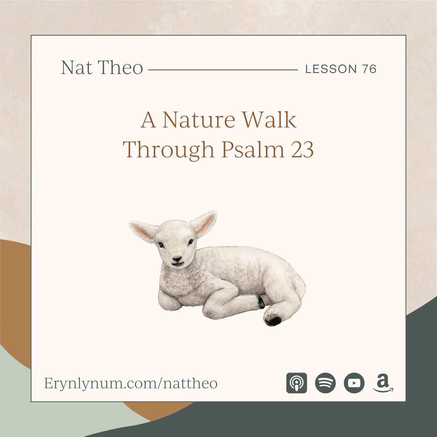 Nat Theo Nature Lessons Rooted in the Bible (podcast) - Eryn Lynum ...