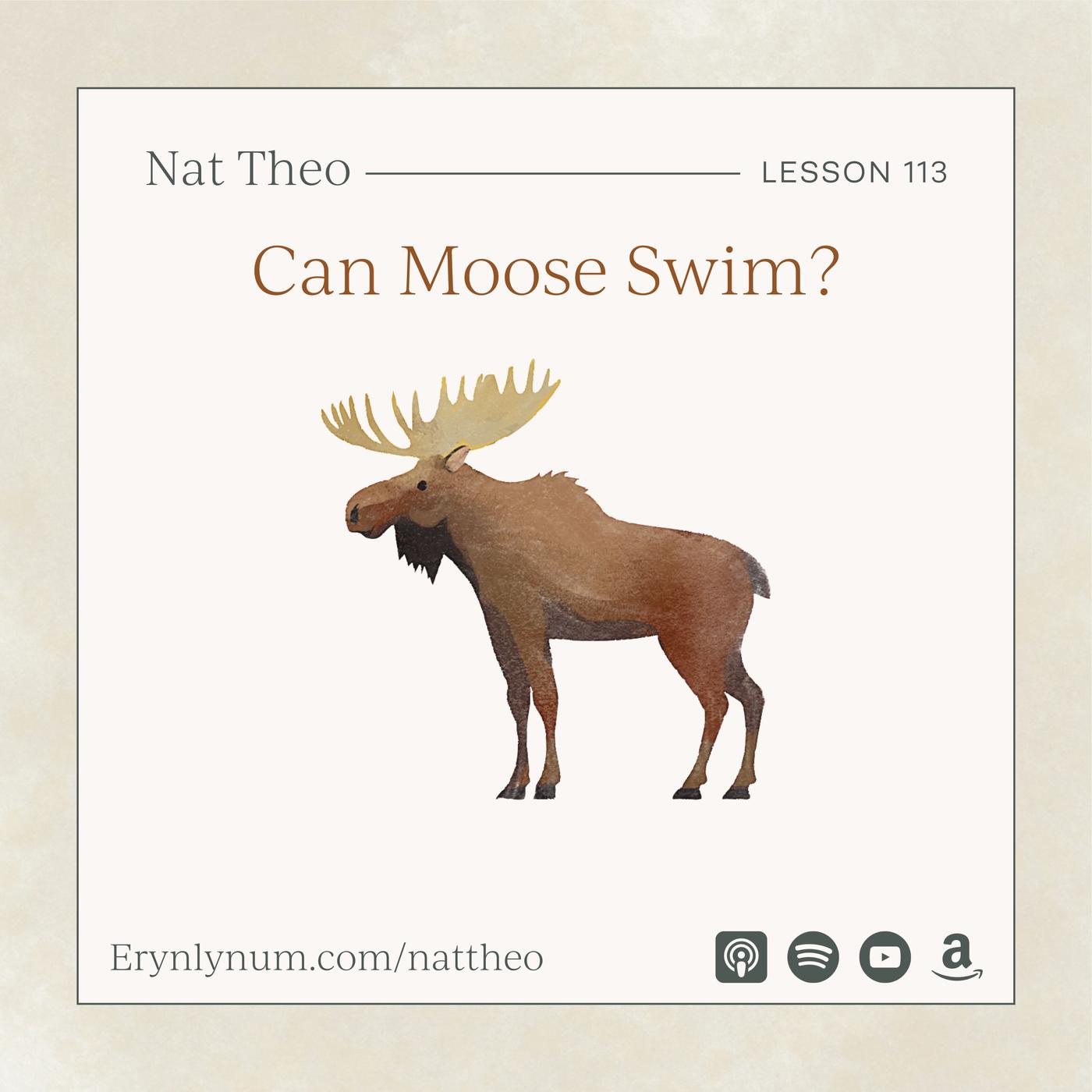 Nat Theo Nature Lessons Rooted In The Bible Podcast Eryn Lynum