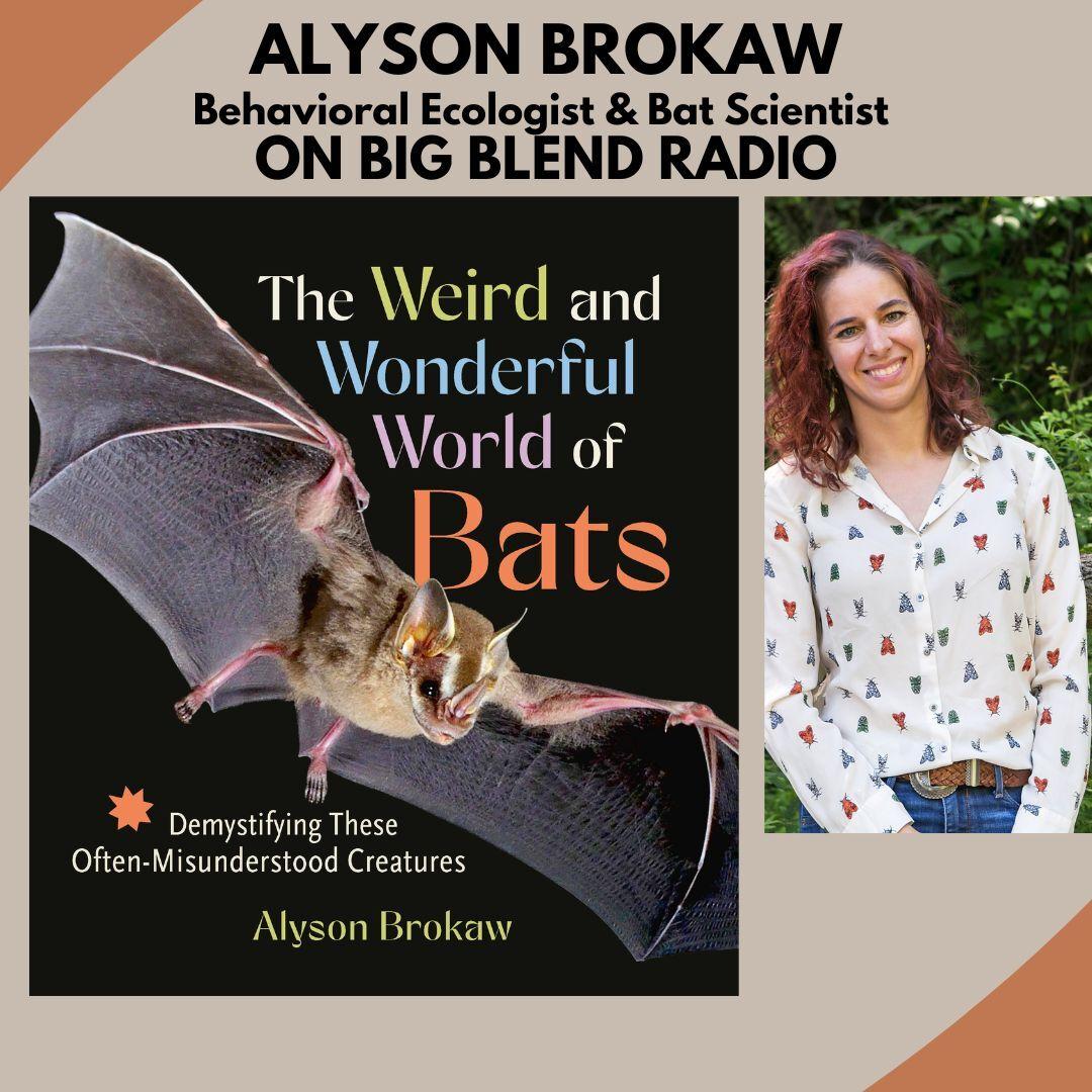 Dr. David Scheel - The Mystery of Octopuses - Nature Connection Radio ...