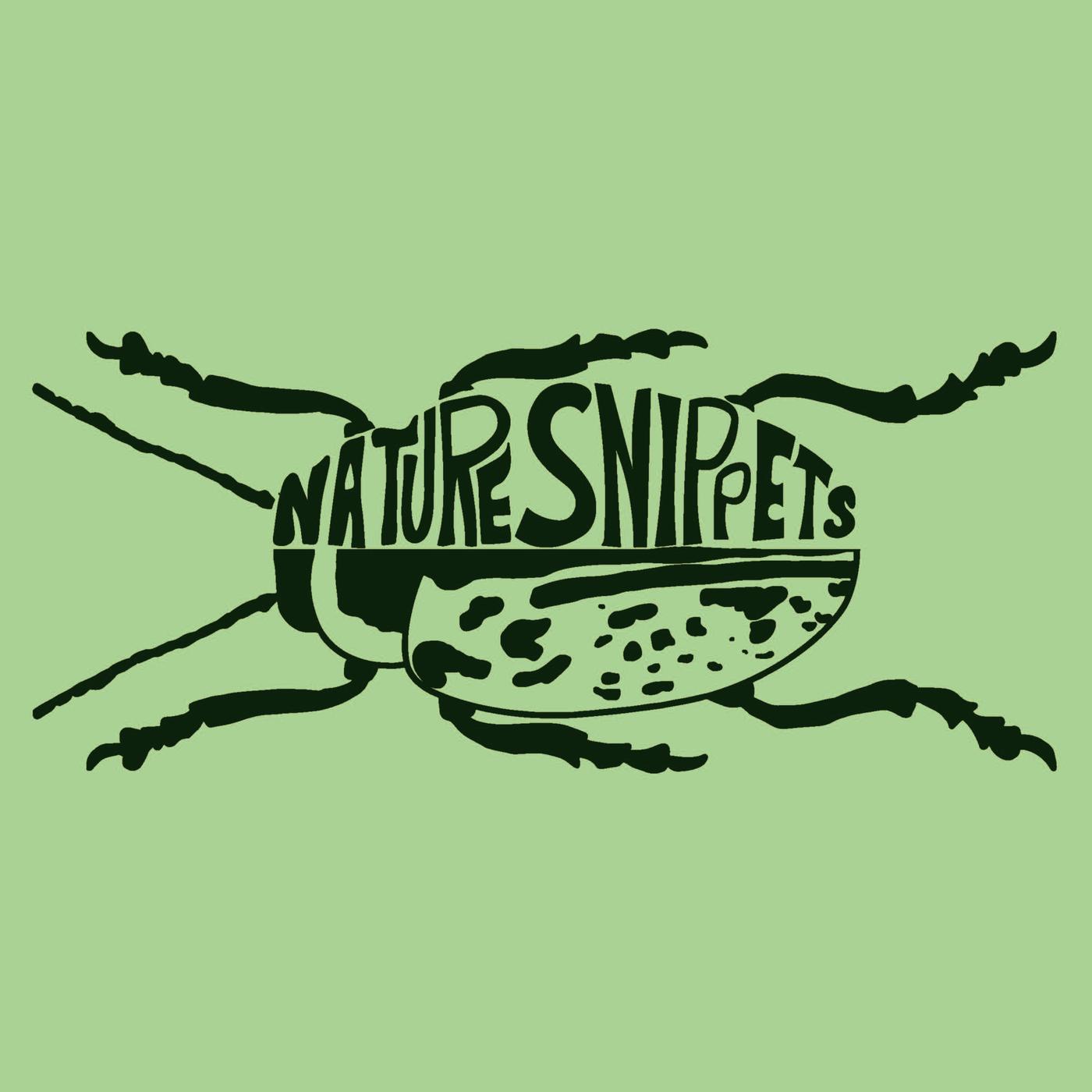 Brainwashed by Worms and 2 Event Announcements - Nature Snippets ...