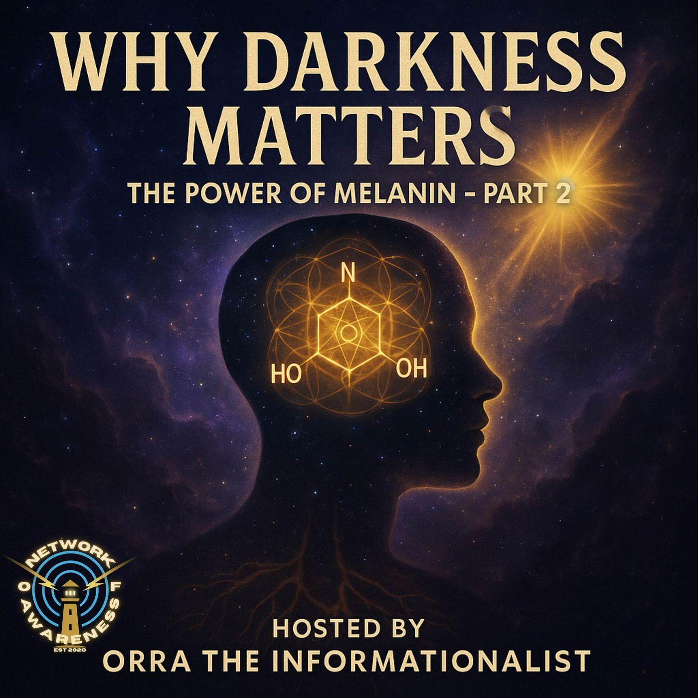 Why Darkness Matters- The Power of Melanin Part 2 - Network of ...