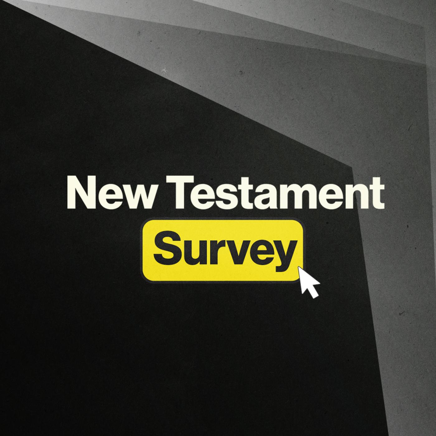New Testament Survey (podcast) - Dr. Pete Goodman | Listen Notes