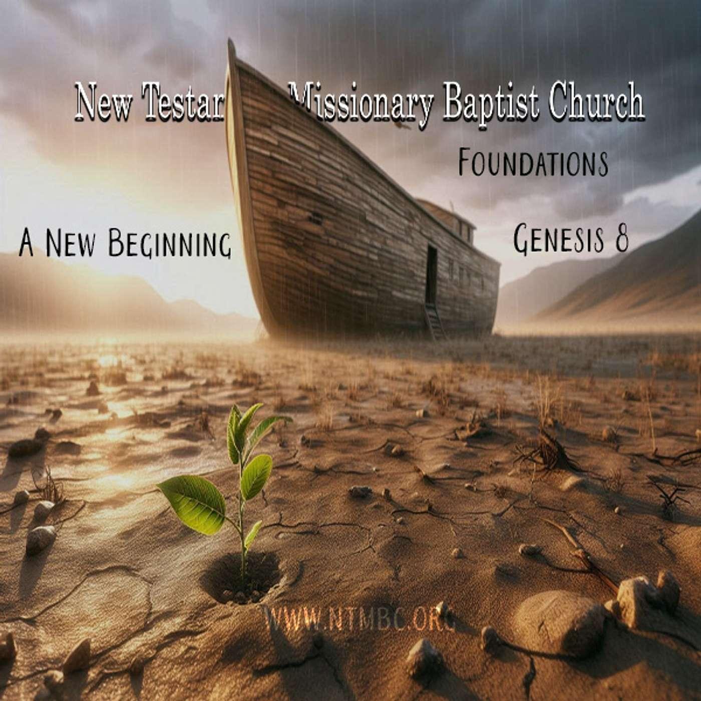 Foundations: A New Beginning, Genesis 8 (Audio) - New Testament ...