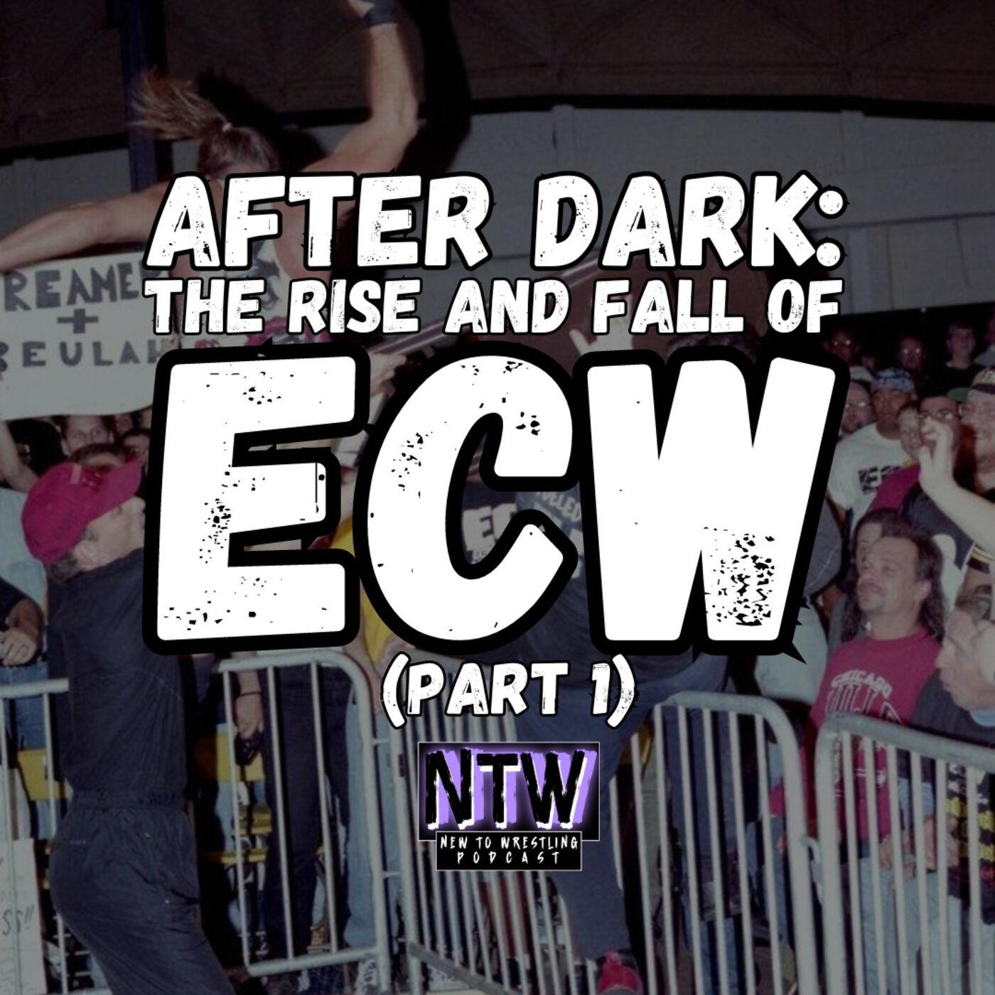WrestleMania 13 Fallout and the Descent of a Hero - New to Wrestling ...