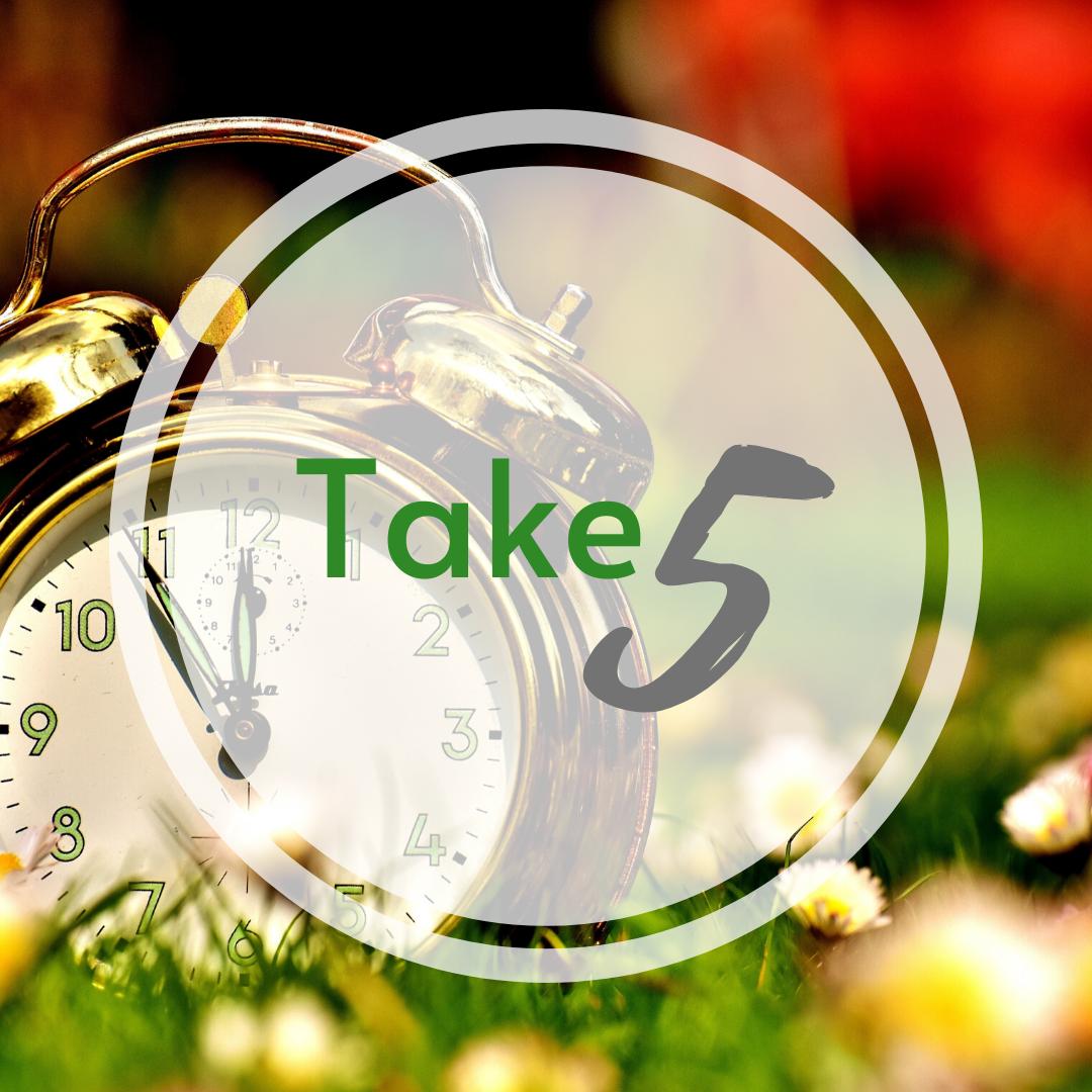 Take Five: Shayna Kreisler, VP fo Lay Leadership Development of Jewish ...